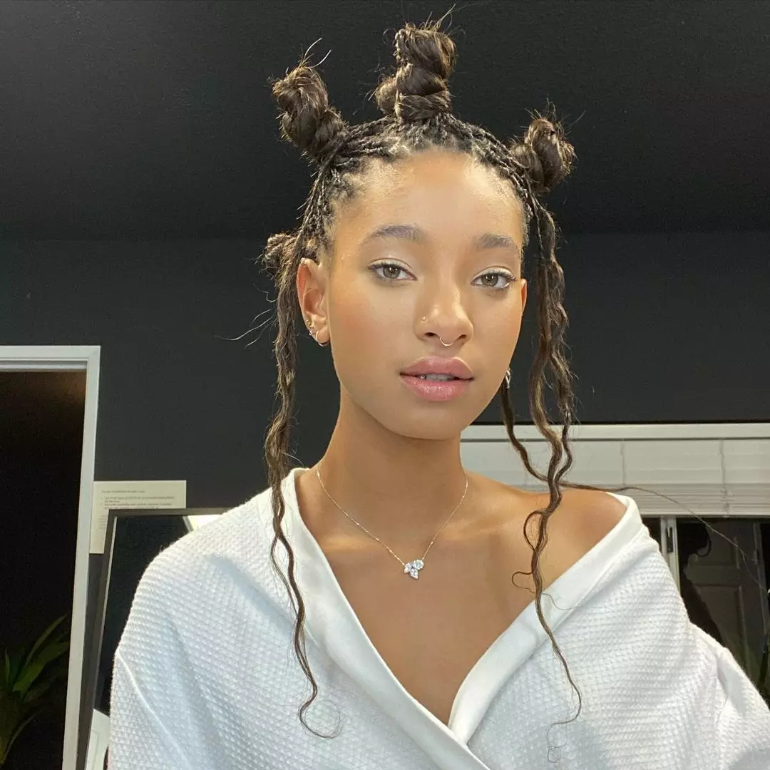 Box Braid Styles Celebs hâlde fan - dat sille jo ek 10587_6