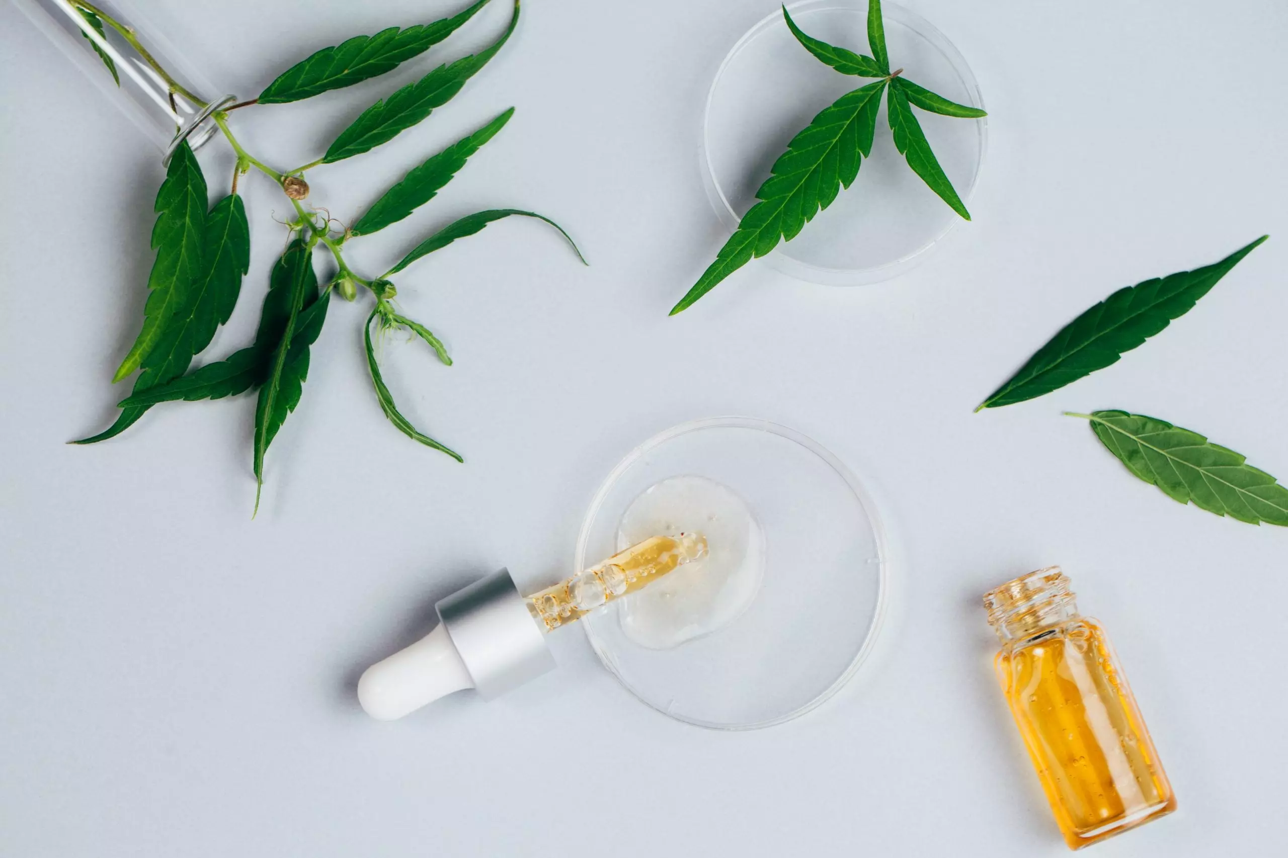 Los mejores productos de belleza con CBD para una tez sana y resplandeciente