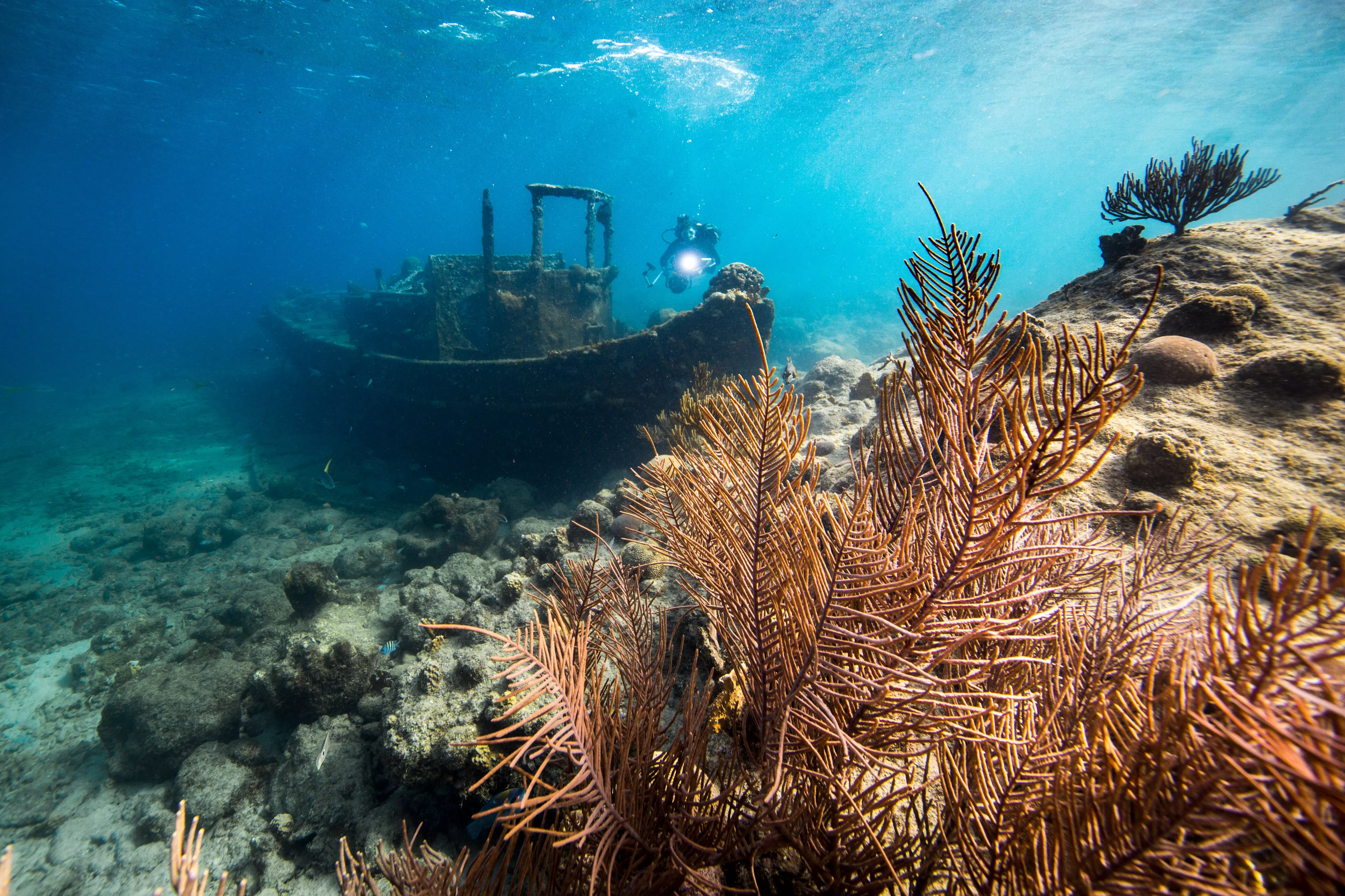 Black Travel Vibes: Pinda muVibrant Island yeCuraçao 13231_4