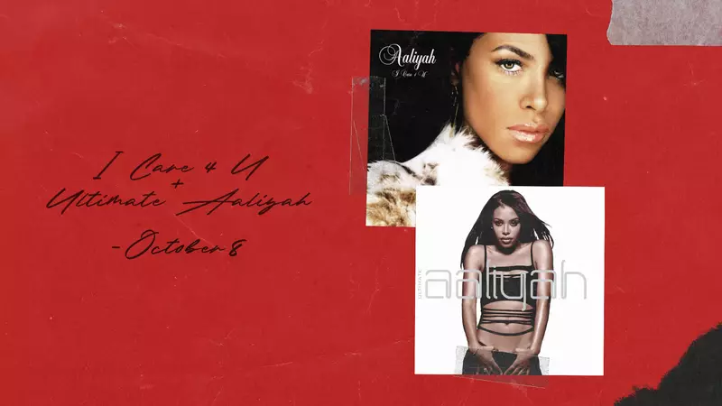 Vi povas Oficiale elsendi la 'One In A Million' de Aaliyah Sur Spotify Nun