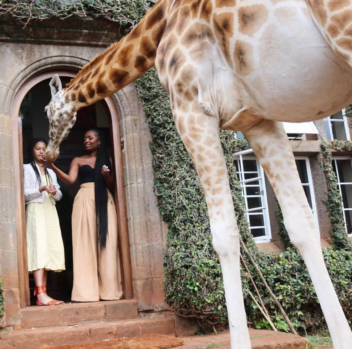 16 Times Jetsetters lọ Wild Fun Giraffe Manor 20655_13