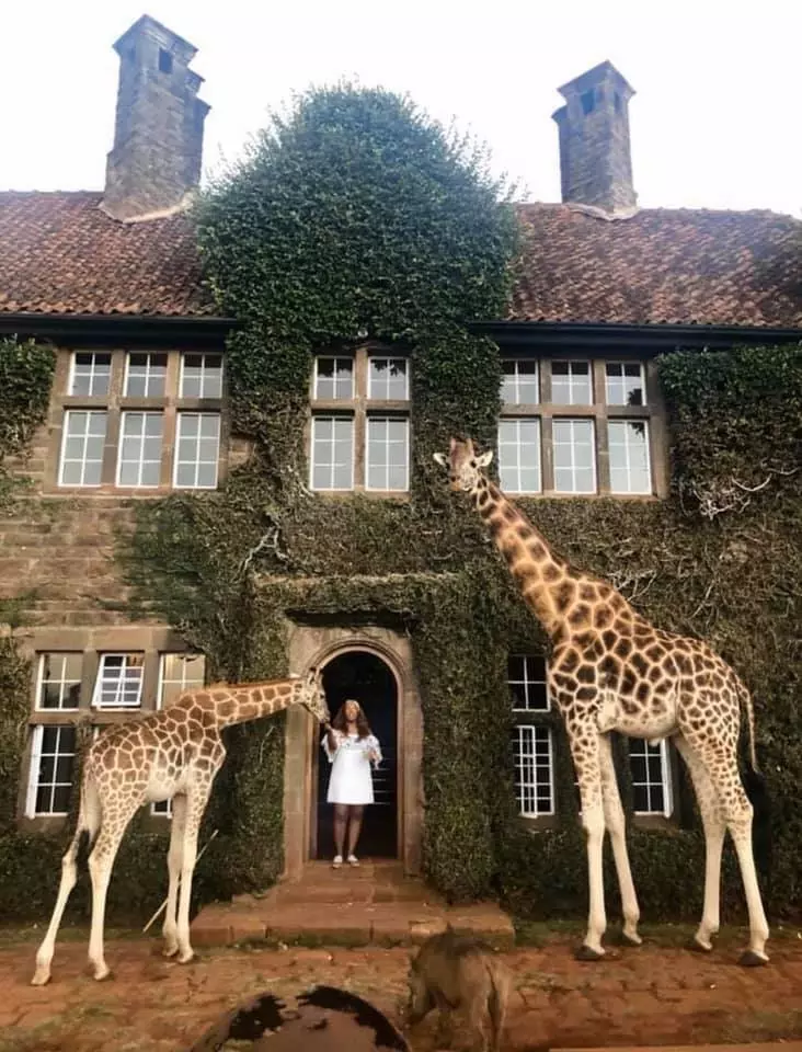 16 пъти Джетсетърите полудяха за Giraffe Manor 20655_14