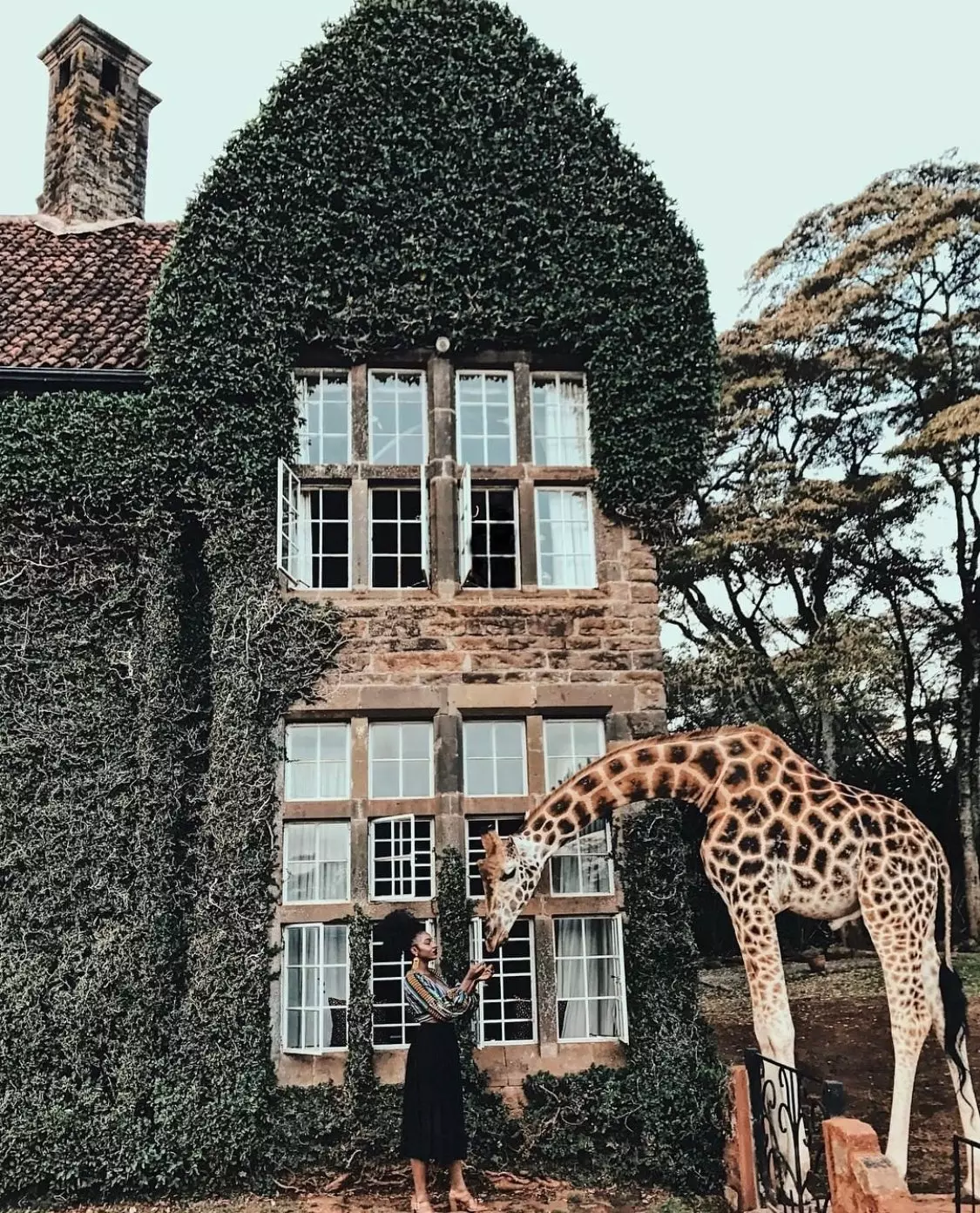 16 Times Jetsetters lọ Wild Fun Giraffe Manor 20655_9