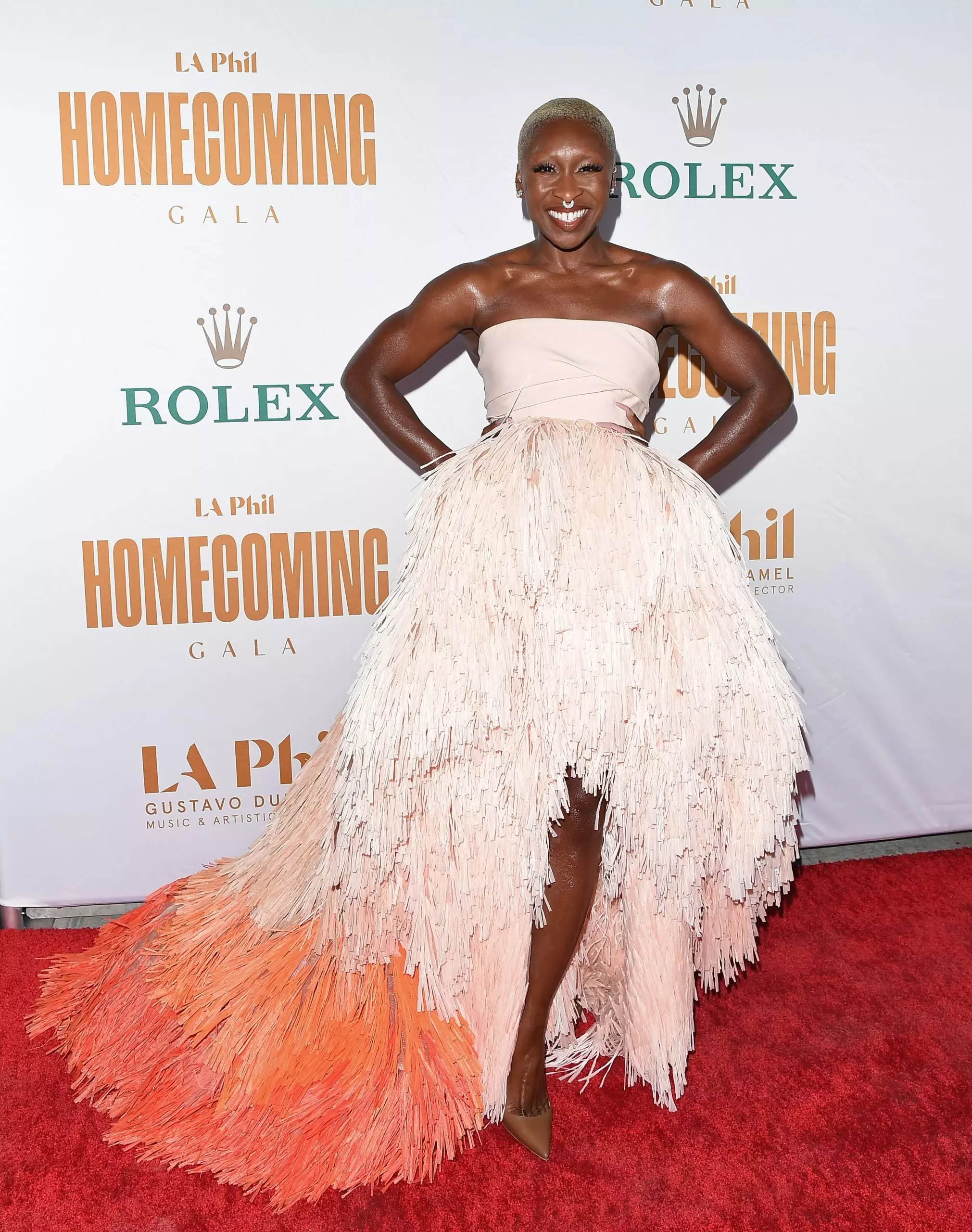 Black Stars Hudhuria Los Angeles Philharmonic Homecoming Concert & Gala 22089_5