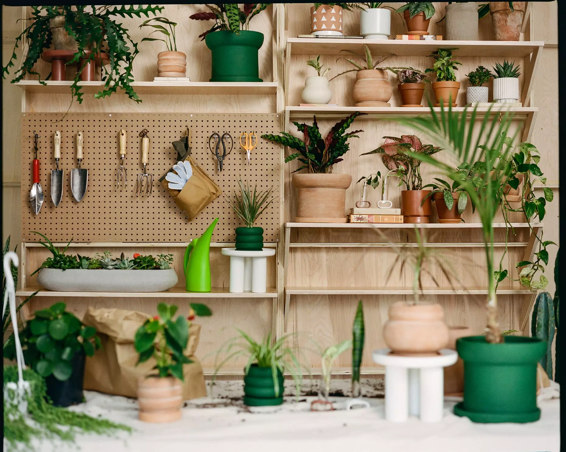 Plant Kween x West Elm Team Up For The Ultimate Collection For Plant Moms 25220_2