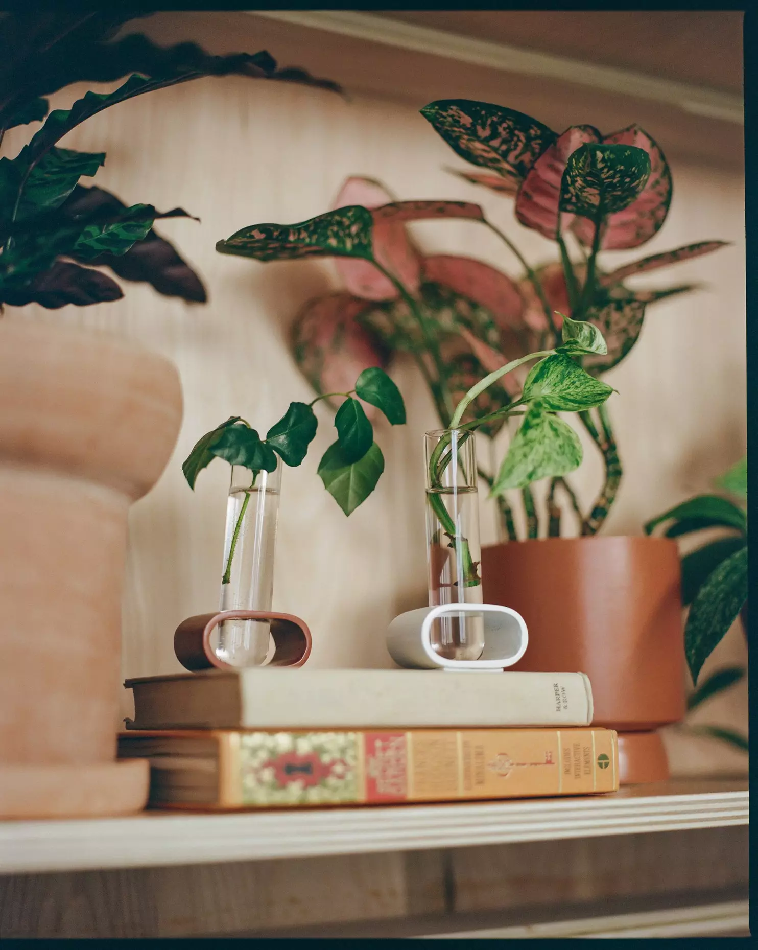 Plant Kween x West Elm Team Up For The Ultimate Collection For Plant Moms 25220_3