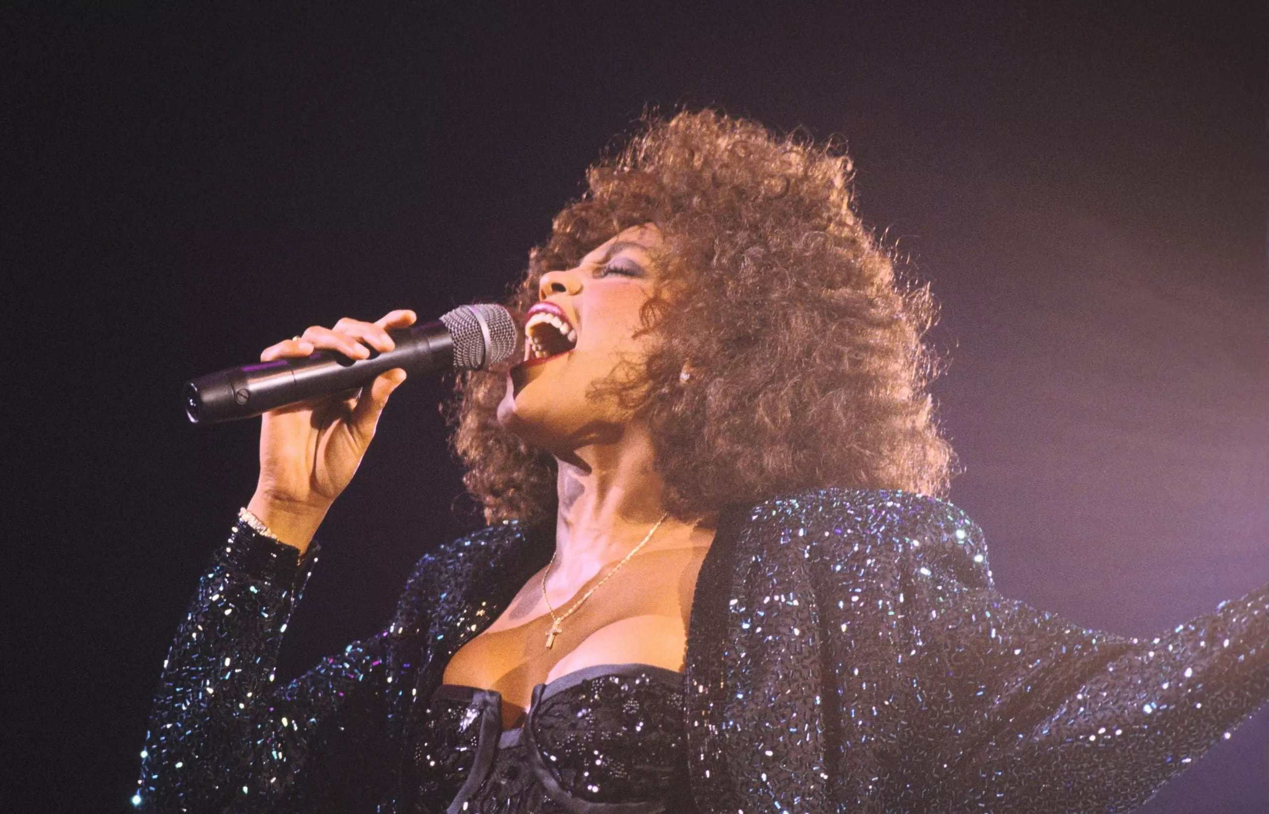 Cennetteki Doğum Günün Kutlu Olsun: Whitney Houston'ı Mutlu Yerinde - Sahnede Hatırlamak 26069_16