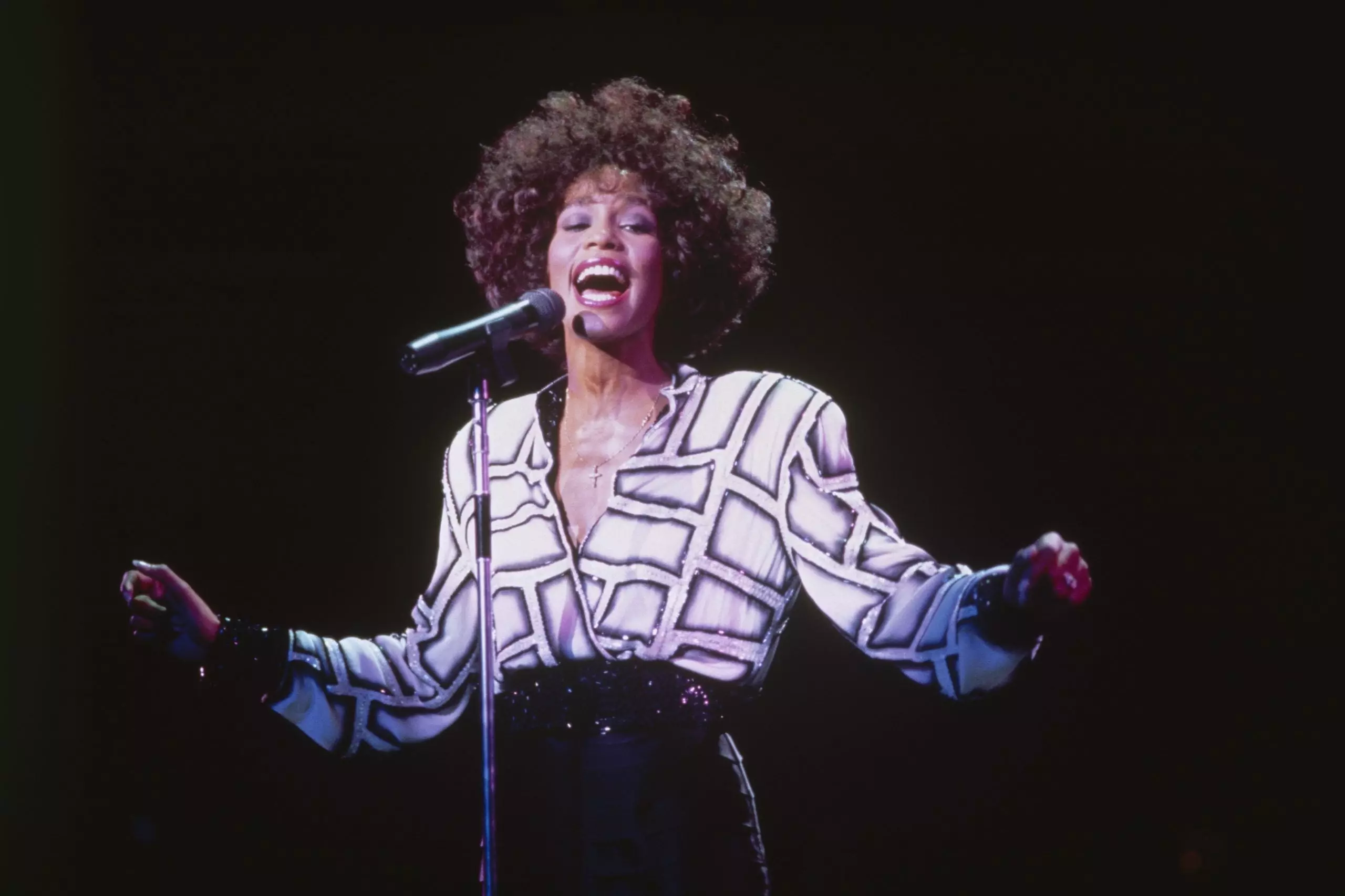 Cennetteki Doğum Günün Kutlu Olsun: Whitney Houston'ı Mutlu Yerinde - Sahnede Hatırlamak 26069_8