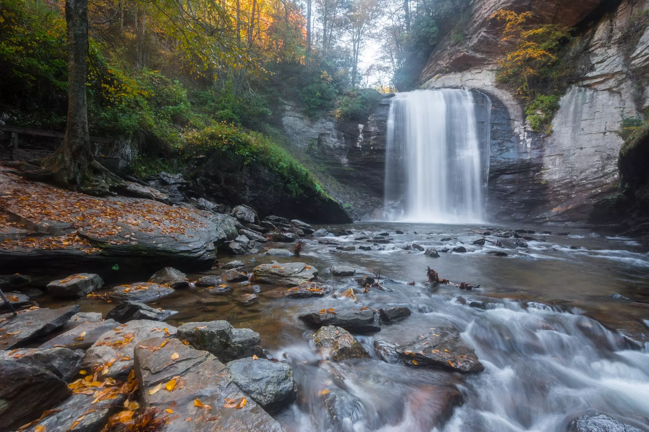 10 lugares para ver el mejor follaje de otoño en 2020 29859_6