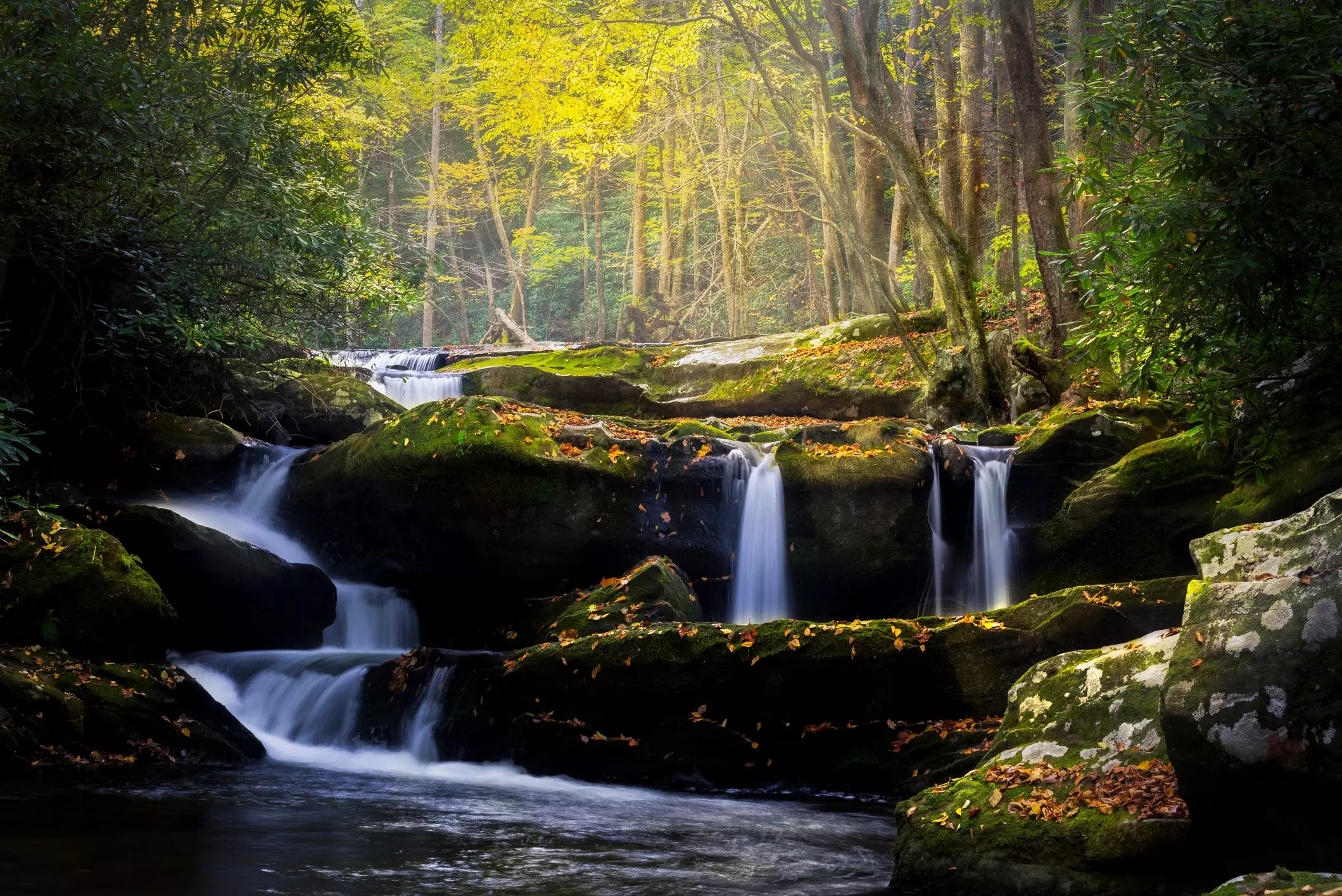 10 lugares para ver el mejor follaje de otoño en 2020 29859_9