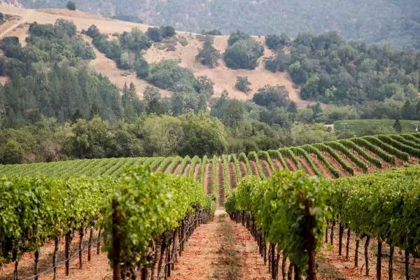 Piérdase: pase un fin de semana de vino en Napa Valley