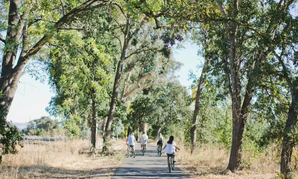 Perdete: pasa un fin de semana de viño en Napa Valley