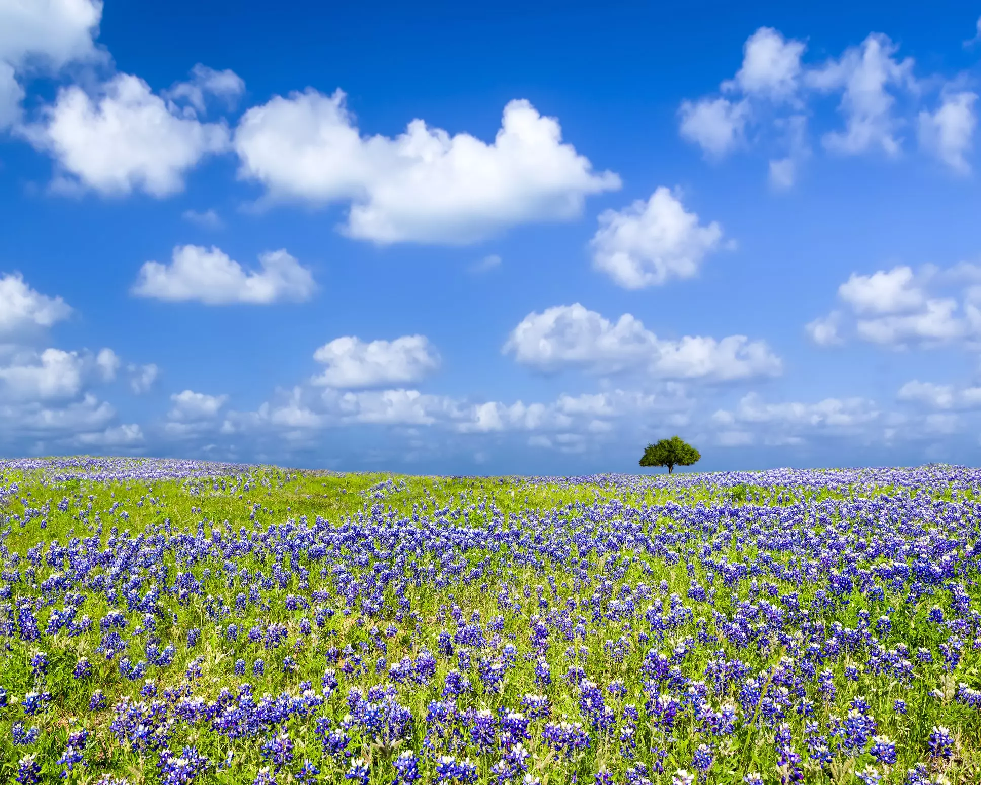 Bata a irmã da estrada aberta! 5 viagens épicas para fazer nesta primavera 29862_3