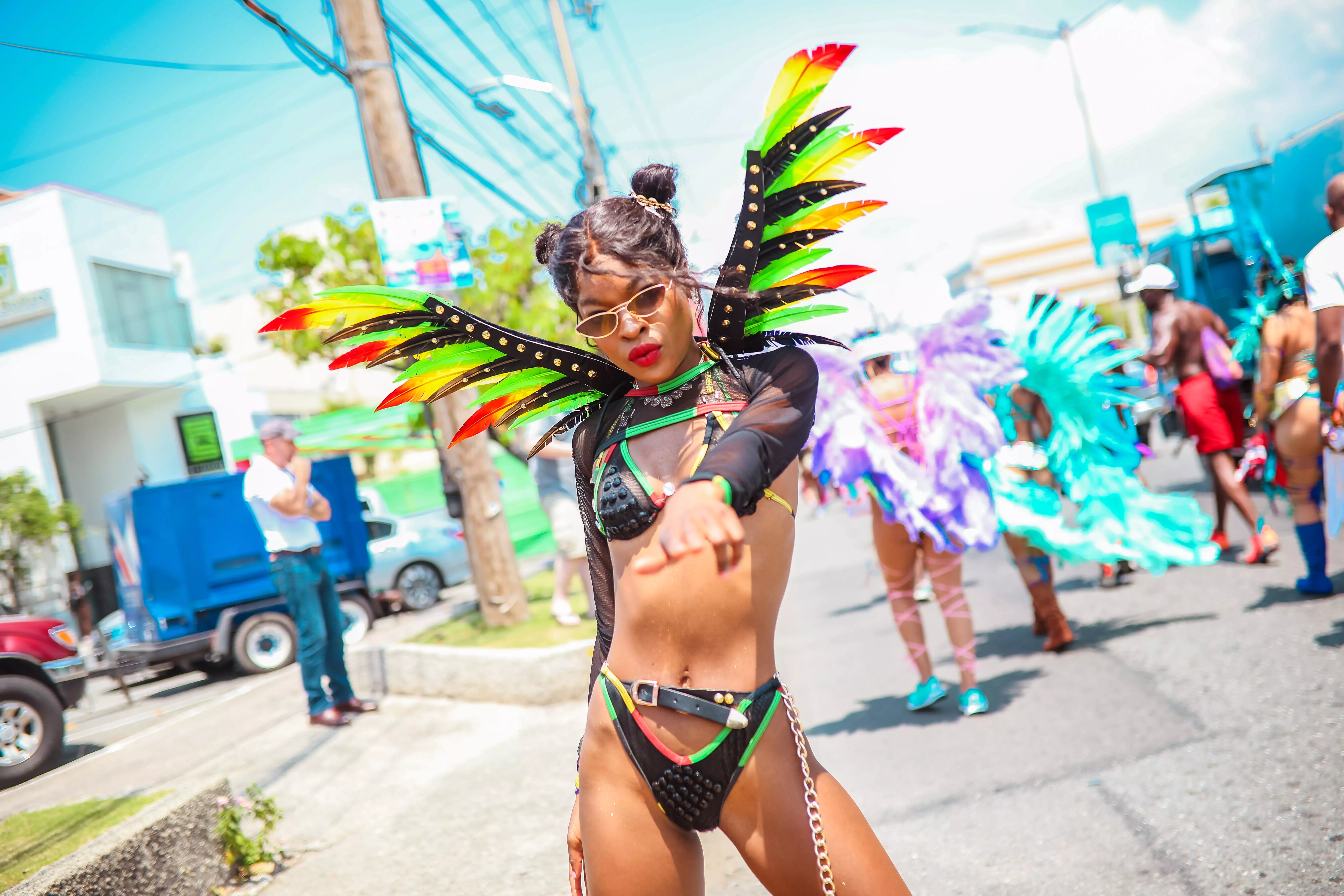 Омода барои Di Road! 36 Аксҳое, ки исбот мекунанд, ки карнавали Ямайка вибҳои пок буд 32348_22