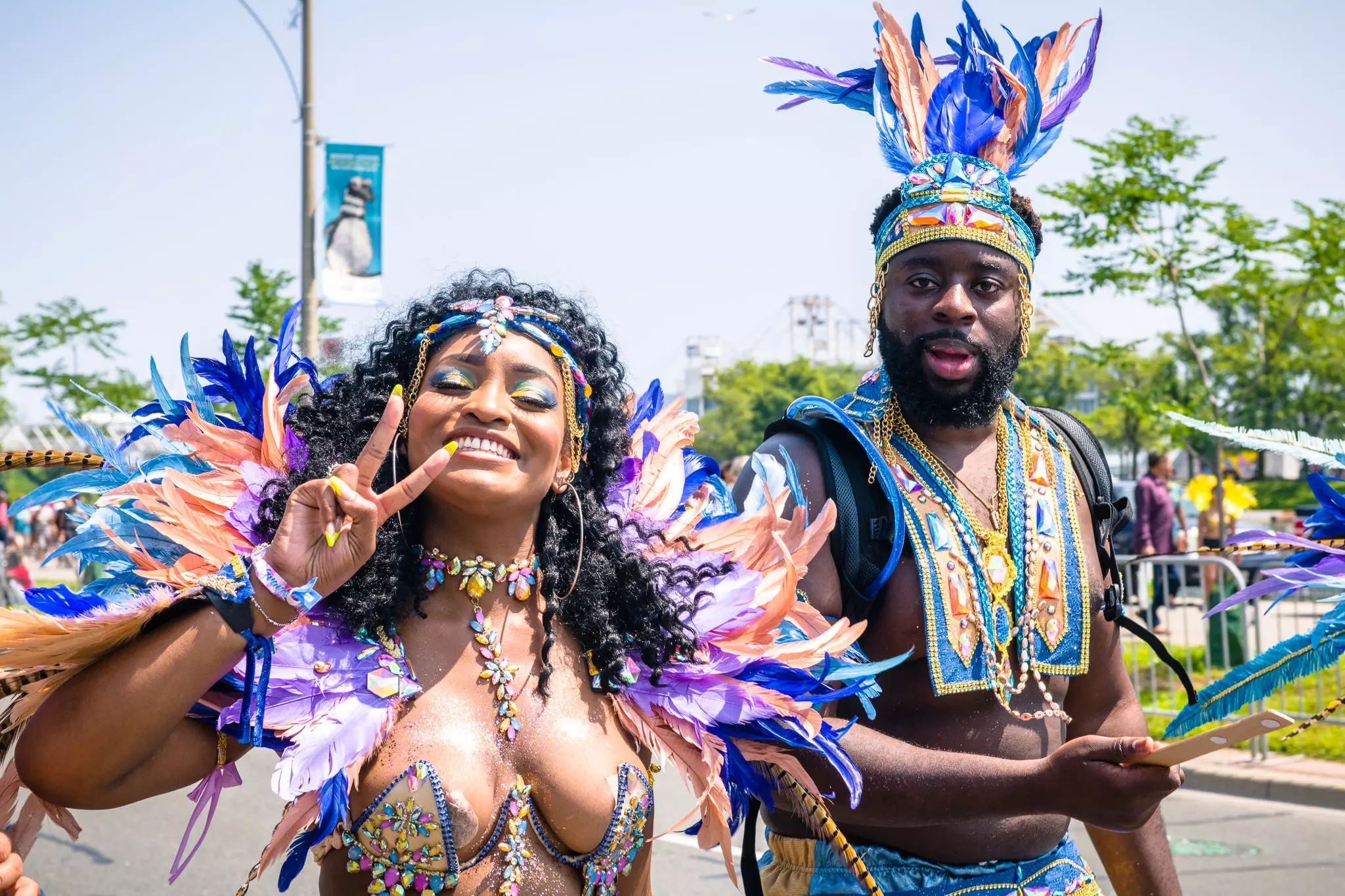 Haar- en skoonheidsoomblikke uit Caribana 2019 39641_9