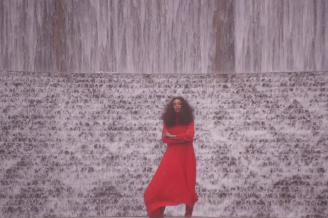 Solange brengt outtakes uit van 'Cranes in the Sky' 43427_9