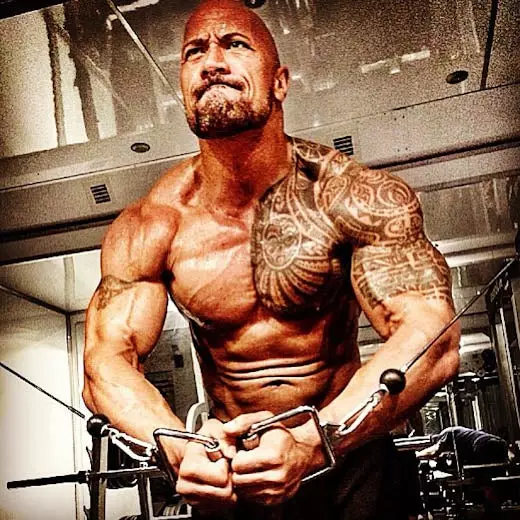 Sarin'i Dwayne 'The Rock' Johnson 18 Sexy tsy mitafy akanjo 47223_12