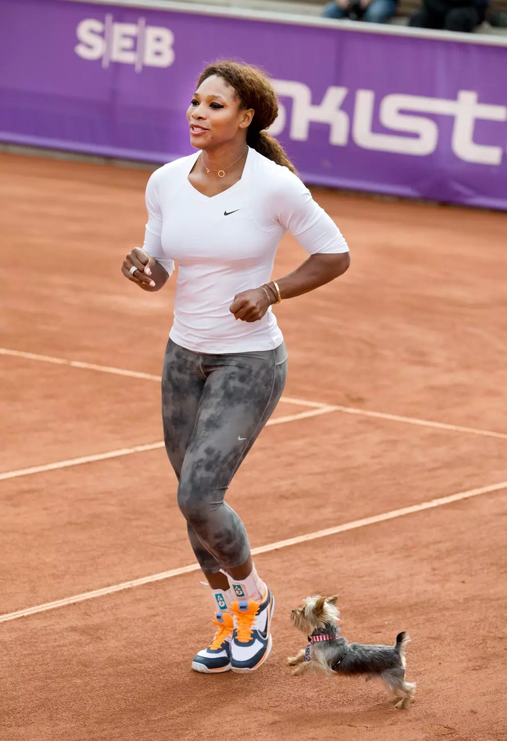 11 Cúiseanna a Bhfuil Bua ag Serena Williams sa Saol 56315_2